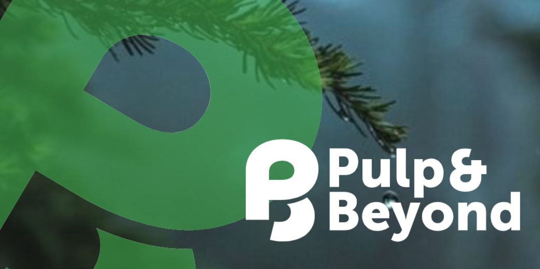 Pulp & Beyond 2024 | Puunjalostusinsinöörit