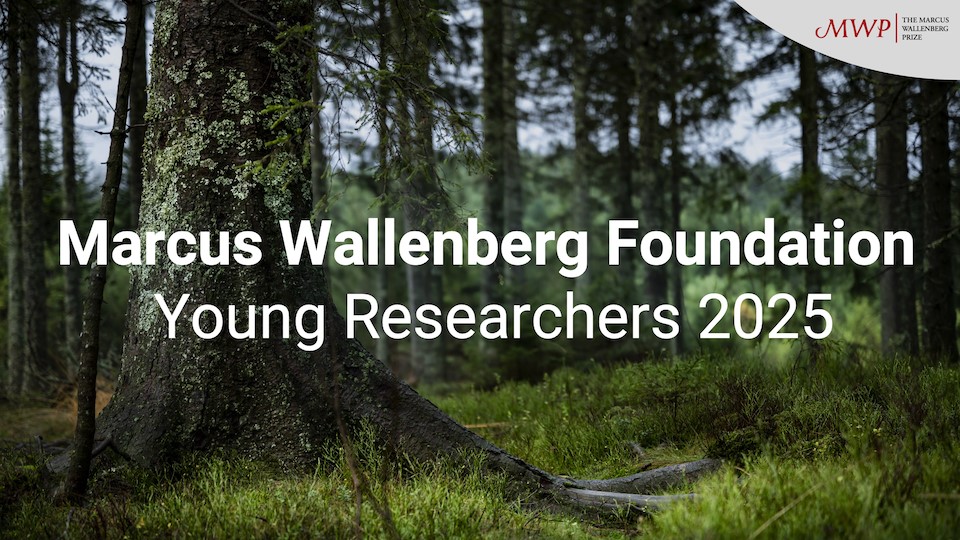 MARCUS WALLENBERG YOUNG RESEARCHERS' CHALLENGE 2025 - APPLY NOW ...